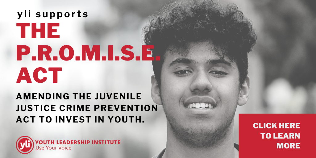 Amending the Juvenile Justice Crime Prevention Act – Youth Leadership ...