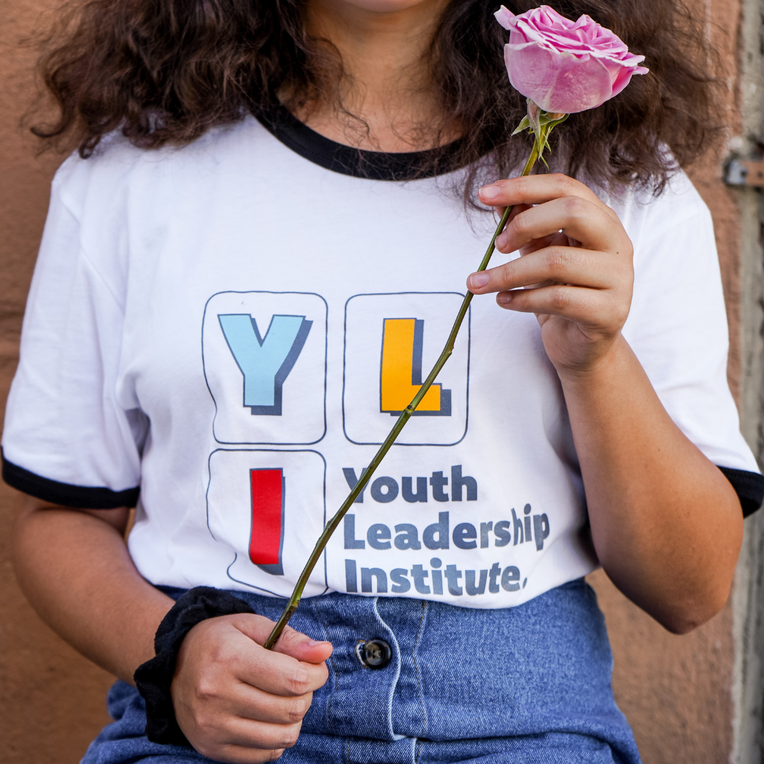 Fundamentals Of Youth Development – Youth Leadership Institute