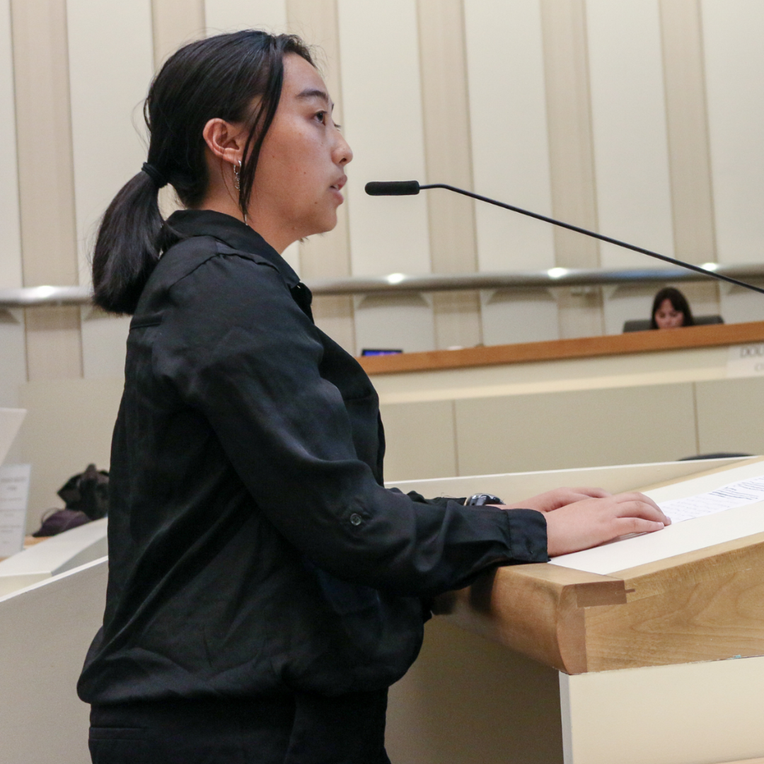 Youth Representation On Boards Of Directors – Youth Leadership Institute